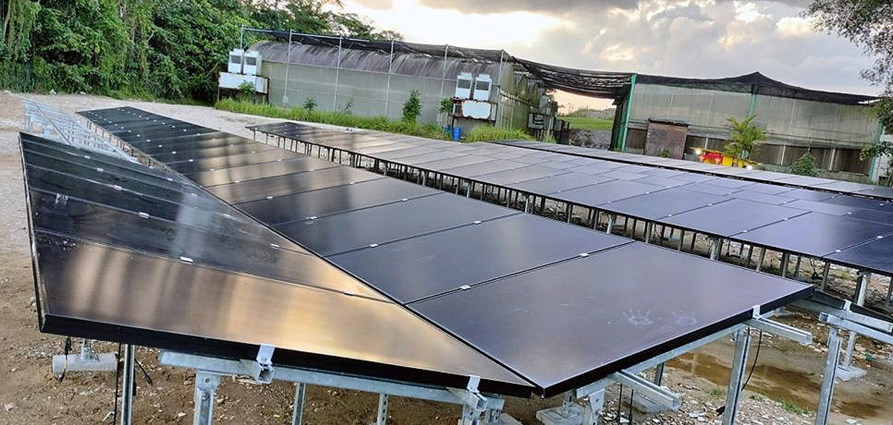 Taking Local Sustainable Innovation to a Global Stage | Success Story