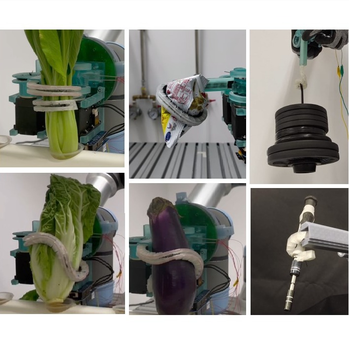 Smart Soft Robotic Gripper for Delicate, Flexible Handling