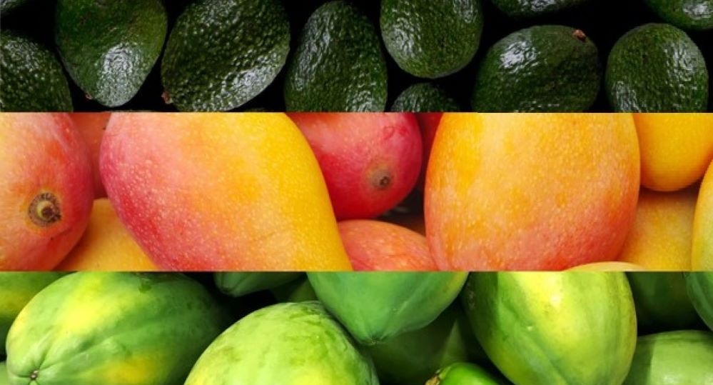 Eco-friendly Coating for Preservation of Tropical Fruits