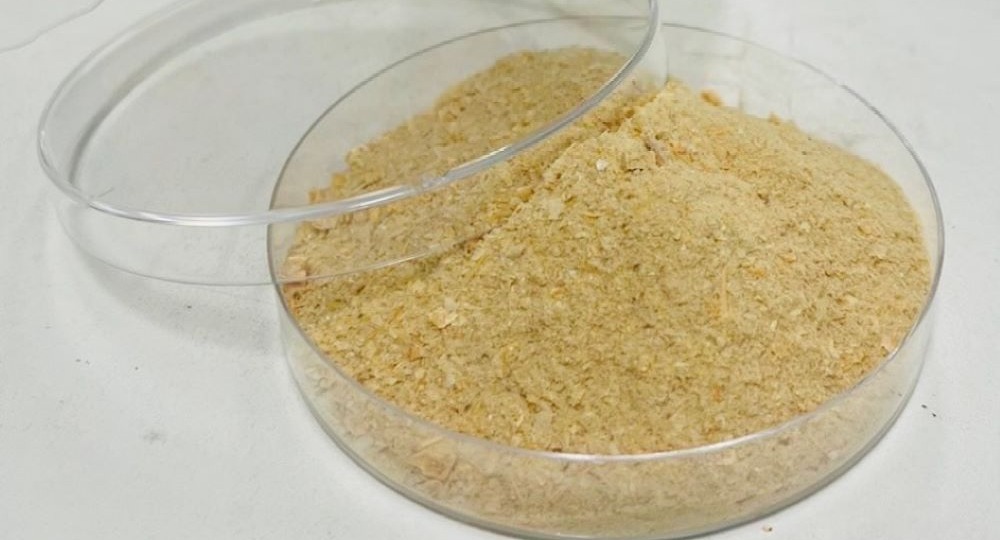 Upcycled Nutritious High Protein Powder From Fish