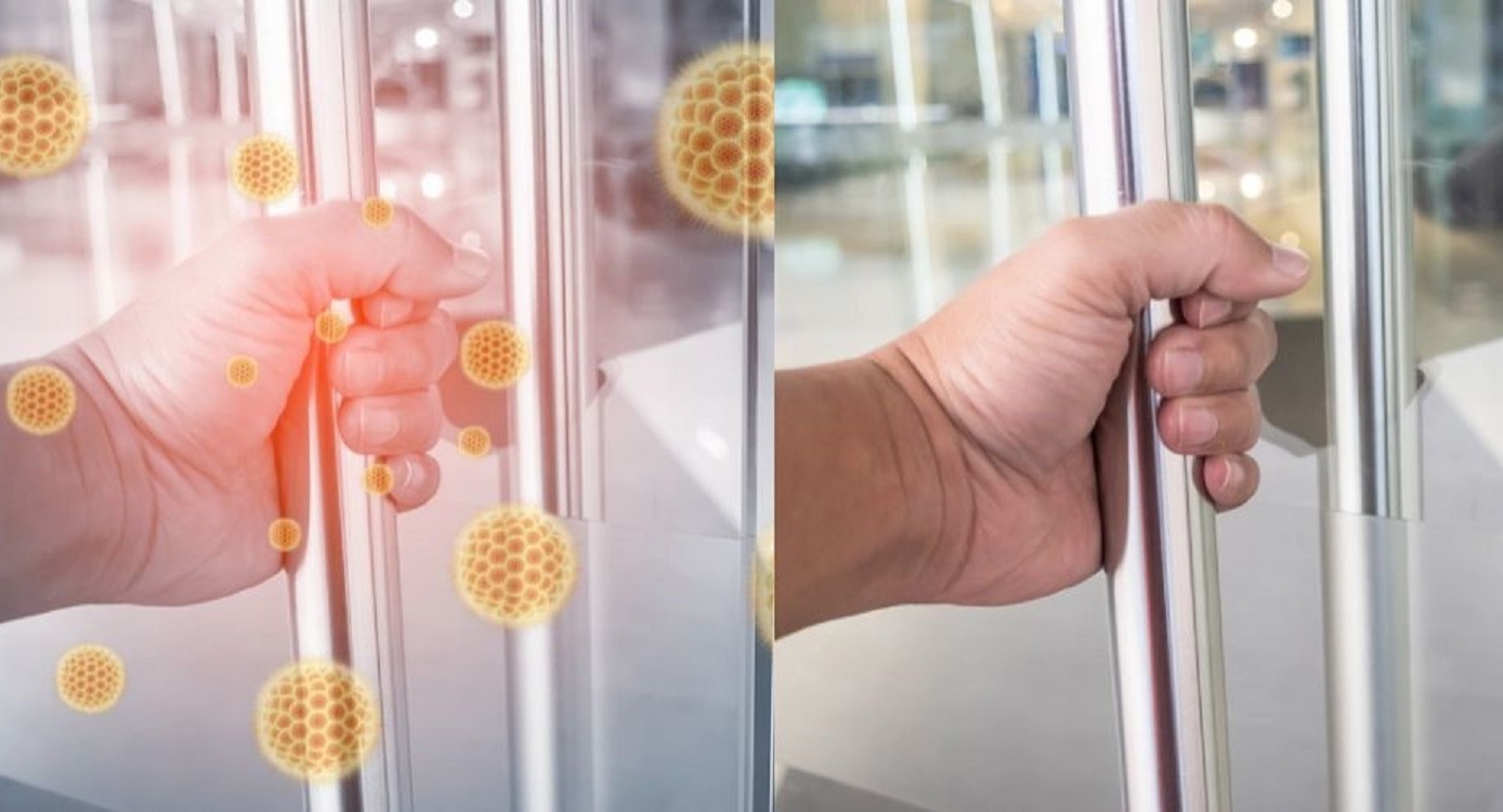 Hybrid Photocatalytic Film with Enhanced Antibacterial and Antiviral ...